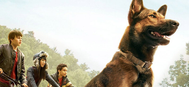 Best Animal Movies of All Time - popcornmonsters.com